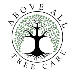 How to Check If Your Tree Has a Tree Preservation Order: A Complete ...